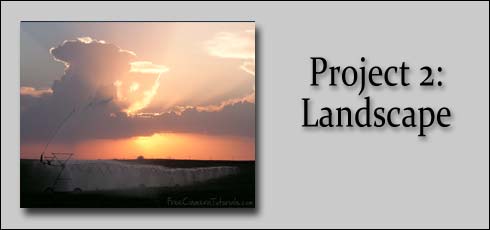 header-landscape | the DIGITAL process