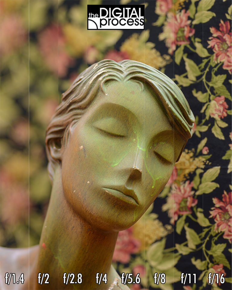 DoF-Example-photography-lesson-1000 | the DIGITAL process