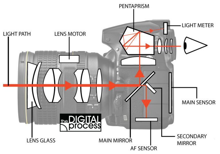 how cameras focus | the DIGITAL process