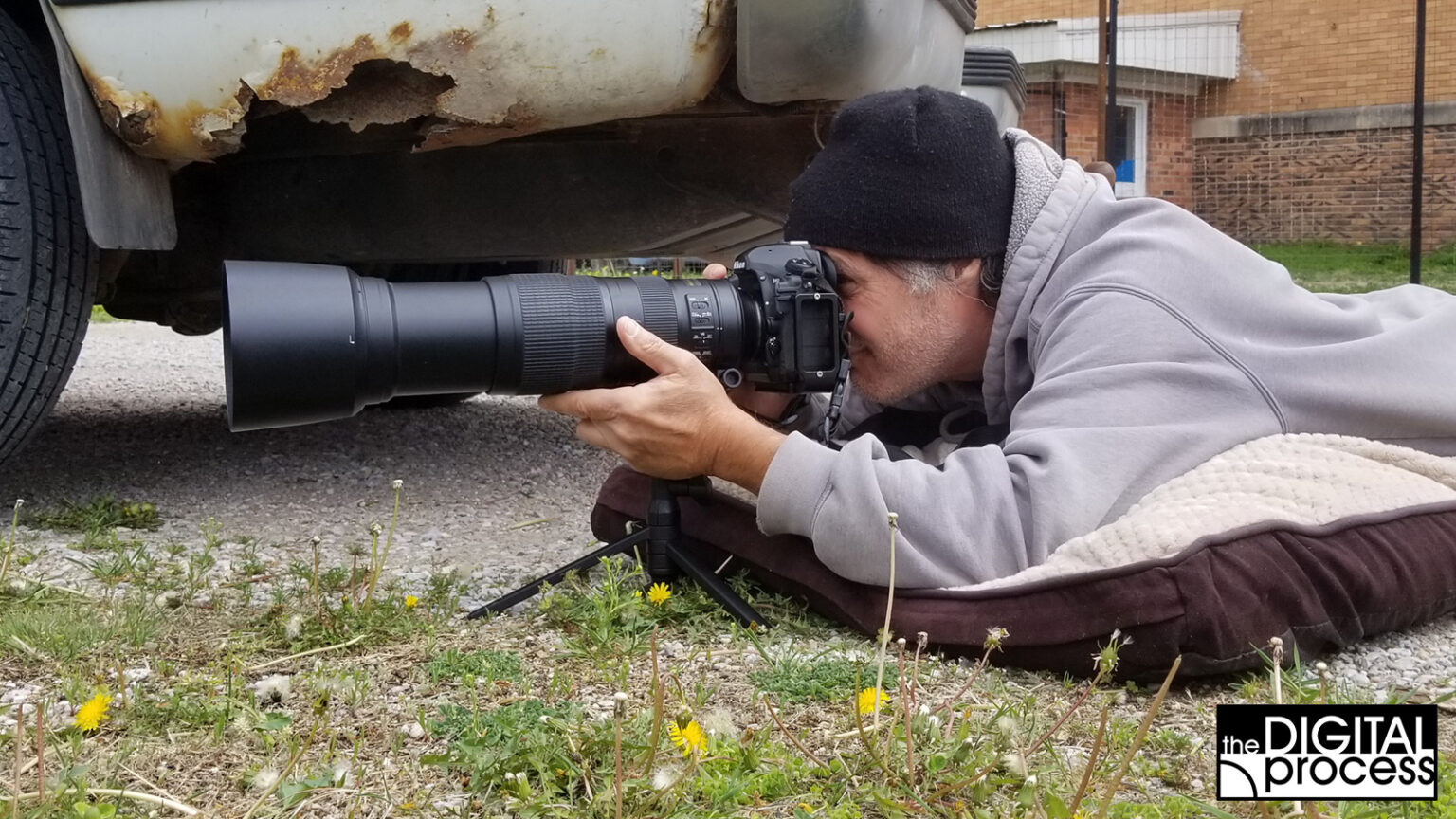 Backyard Bird Photography – A guide – the DIGITAL process