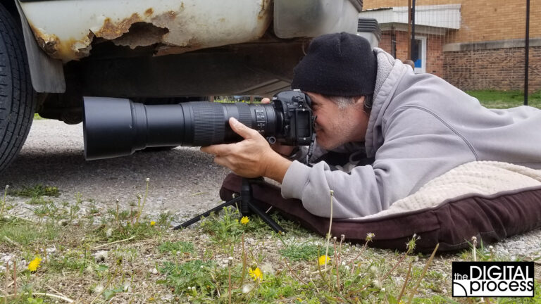 Backyard Bird Photography – A guide – the DIGITAL process